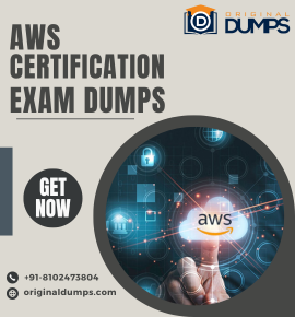 AWS Exam Dumps - Latest Certification Exam Prep Material
